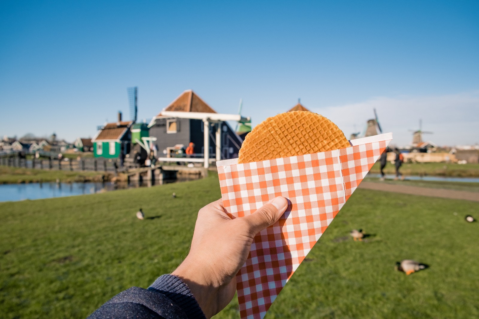 Traditional Dutch Food and recommended restaurants in Amsterdam